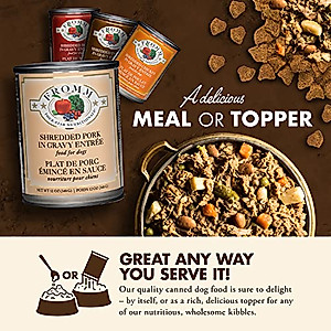 Fromm Four-Star Nutritionals Shredded Pork in Gravy Entrée Dog Food - Premium Wet Dog Food - Pork Recipe - Case of (12) 12 oz Cans