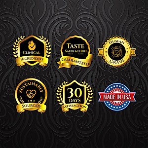 Lexelium Weight Gainer Supplement for Dogs & Cats - Muscle Building & Appetite Stimulation - 100% Natural Pet Supplement to Add Weight & Increase Immunity in Puppies and Kittens -200g