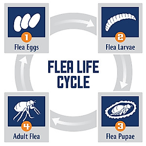 ProSense 7 Flea & Tick Prevention and Control for Dogs 5-10 lb - 3 Month Supply