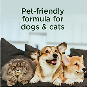 SimpleSource® Flea & Tick Home & Pet Spray, Powered by Plants, Kills Fleas, Flea Eggs, Flea Larvae, & Ticks, Kills & Repels Mosquitos, 32oz Bottle