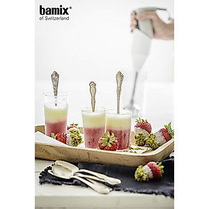 The Expert NSF bamix - Professional Immersion Hand Blender – 200W Motor- Aerating, Blending, and Chopping Blades – 2 speeds-BPA free-White/Light Grey-Ergonomic Grip