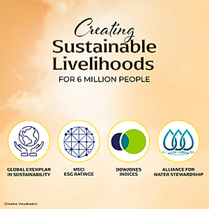 Kitchens of India Punjabi Tikka Masala, Creamy Tomato Cooking Sauce, Easy to Use Sauce for Authentic Indian Food, Gluten-Free, 7.02 Ounces (Pack of 6)