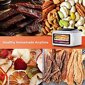 Septree Upgraded 4-layer Food Dehydrator for Jerky, Stainless Steel Trays Food Dryer Machine with Deluxe Accessories Kit, 400W 190°F Temp and Timer Control, for Herbs, Meat, Fruit, Veggies, Mushroom