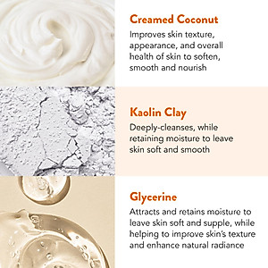 Ethique Gingersnap - Gentle Natural Solid Face Scrub - Exfoliating Face Cleanser for All Skin Types -Vegan, Eco-Friendly- Zero-Waste, Plastic-Free, Cruelty-Free, 3.53 oz (Pack of 1: 4 bars)