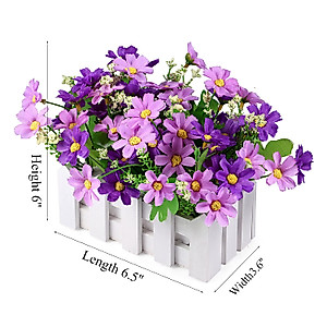 Louis Garden Artificial Flowers Fake Daisy in Picket Fence Pot Pack - Mini Potted Plant (Daisy-Purple)