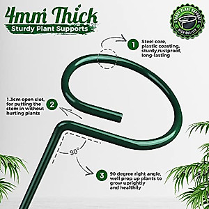 LEOBRO 6 Pack Plant Stakes for Flowers, Metal Single Stem Plant Support, Garden Plant Stakes for Amaryllis Orchid Lily Rose Tomatoes, Dark Green, 40.5 CM/15.9 INCH