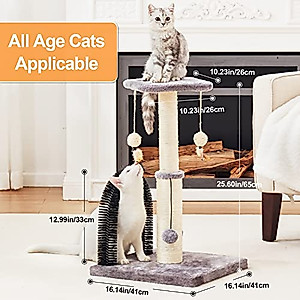 OYSMY Cat Scratching Post with Self Groomer and Top Platform - Durable Sisal Cat Scratcher Stable Cat Scratch Post with Dangling Balls, Verstile Cat Scratching Poles for Indoor Cats (Grey)