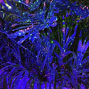 LedMAll® Red and Green Laser, and Blue LED Remote Control Christmas Lights, Garden and Landscape Lights