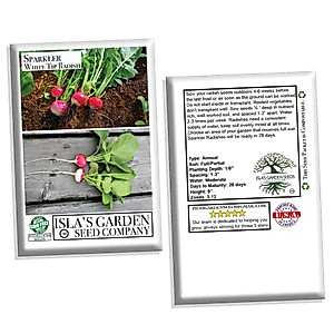 "Sparkler White Tip" Radish Seeds for Planting, 100+ Heirloom Seeds Per Packet, (Isla's Garden Seeds), Non GMO Seeds, Botanical Name: Raphanus sativus, 90% Germination Rate