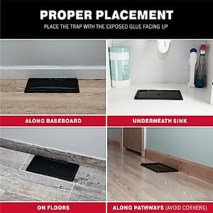 Catchmaster Rat, Snake and Mouse Traps 12Pk, Large Bulk Glue Rat Traps for Home, Pre-Scented Adhesive Plastic Tray for Inside House, Snake, Mice, & Spider Catcher, Pet Safe Pest Control