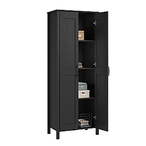 Sauder Engineered Wood 2-Door Storage Cabinet in Raven Oak Finish