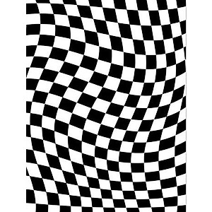 Black and White Moroccan Checkered Area Rug for Living Room 3x5ft Small Kitchen Runner Rugs Durable Bathmat Laundry Mat Machine Washable Home Office Carpet