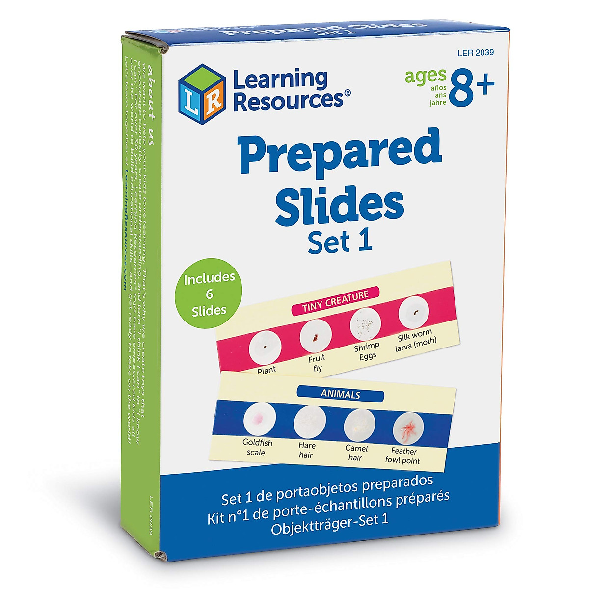 Learning Resources Prepared Slides Set 1, 24 Specimens