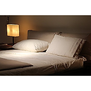 Un-Edison A19 LED Bug Light - Replaces 100W - Yellow Spectrum E26 Medium Outdoor Bulb for Porch Patio & Deck - Upgrade Your Old Painted Incandescent Bug Bulbs to Amber Glow 2-Pack