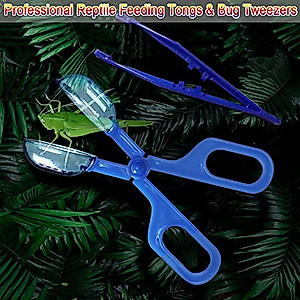 RORANIC Feeding Tongs,Bug Tweezers for Kids Adults, Reptile Feeding Tweezers Long Handle Feeder Tools for Fish Aquariums Reptiles Snakes Lizard Gecko Spider and Bird (Blue)