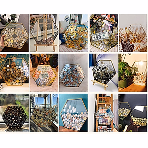 Ebrima Gold Glass Frame for Coin Display, Wall Hanging Coin Collecting Holders, Currency Dollar Bill Collection Supplies Holders for Collectors, Glass Piggy Bank (Medium)