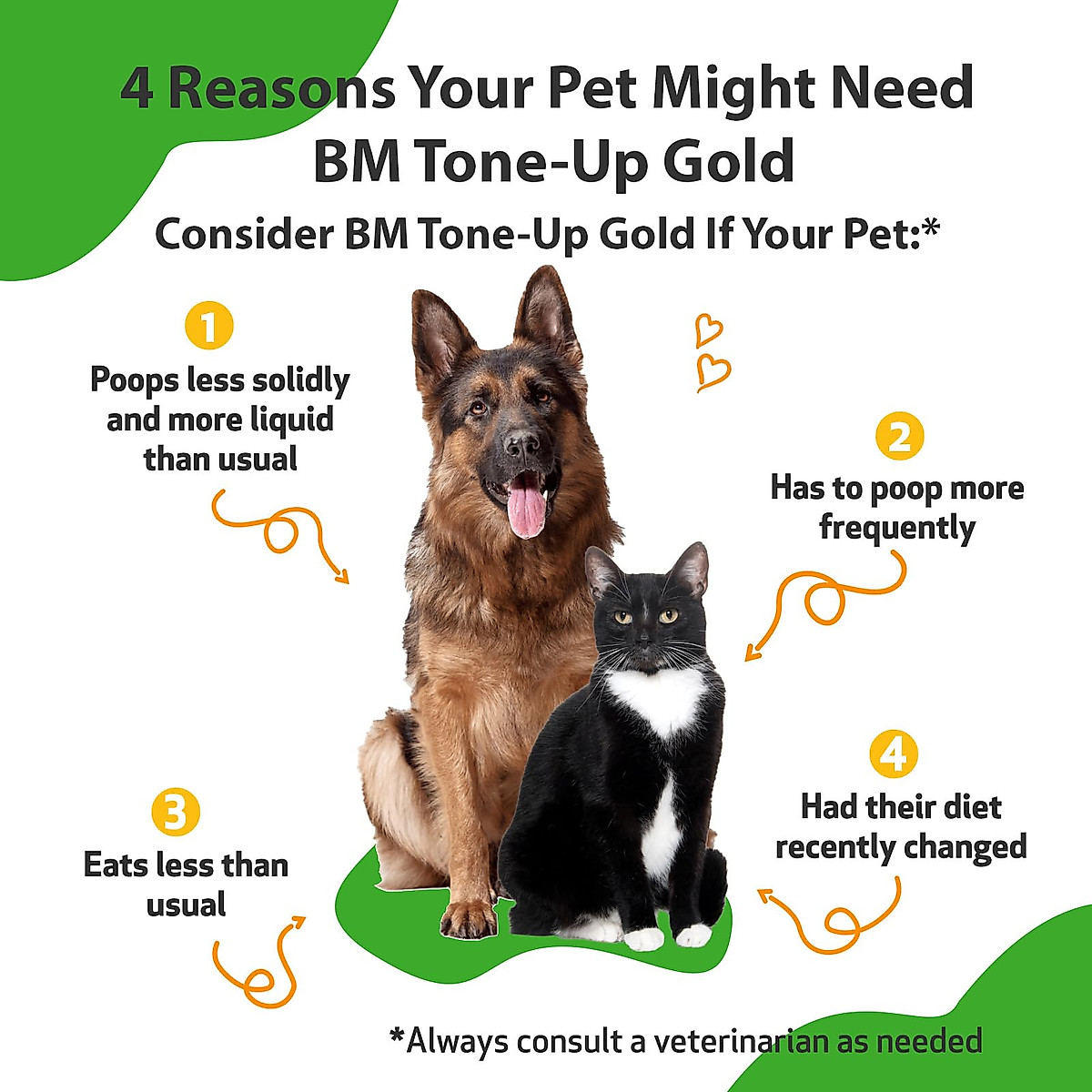 Pet Wellbeing BM Tone-Up Gold for Dogs & Cats - Vet-Formulated - Diarrhea & Loose or Runny Stools - Natural Herbal Supplement 4 oz (118 ml)