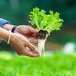 72 sets Rockwool Cubes for Hydroponics with Net Pots, 1in Rock Wool Planting Cubes 72 Plugs & 50 Net Cups 1.5 inch Hydroponic & 50 Article Self Watering Cotton Wick Cord for Hydroponics Supplies