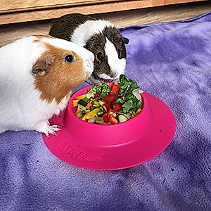 STAYbowl Tip-Proof Bowl for Guinea Pigs and Other Small Pets - Fuchsia (Pink) - Large 3/4 Cup Size New