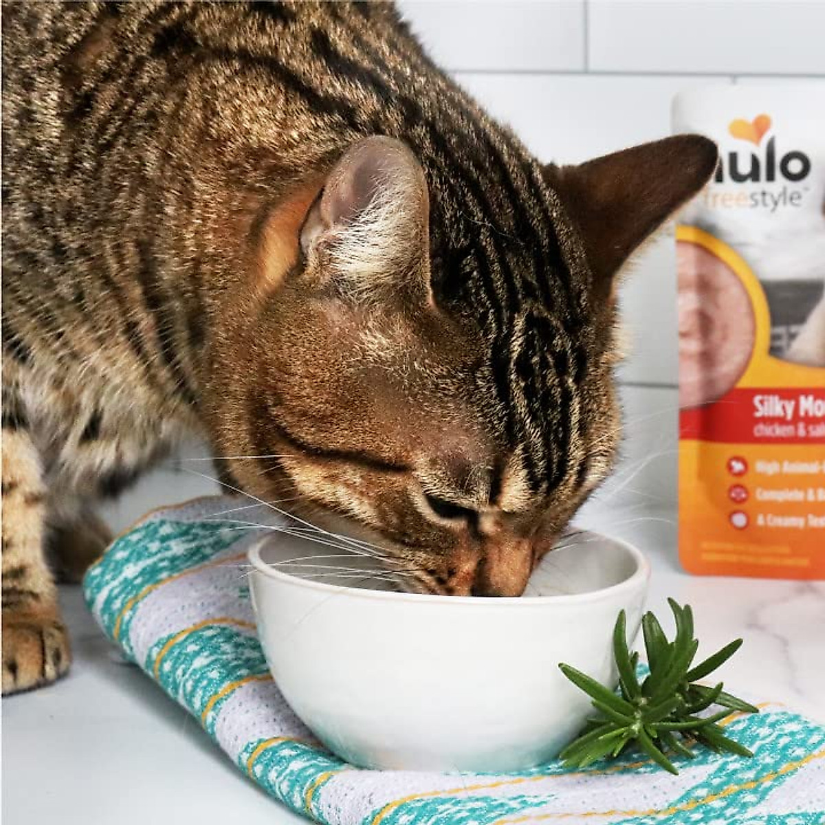 Nulo Freestyle Wet Cat Food Mousse, Smooth As Silk Texture with High Animal-Based Protein for Complete and Balanced Nutrition Your Kitten to Senior Cat Will Crave, 2.8 Ounce (Pack of 24)