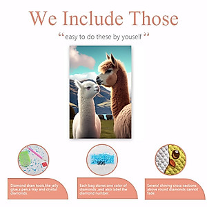 NSUAJOF Diamond Painting Kits, Personalized 5D for Adult Beginners Cloud Alpaca DIY Full Round Drill Diamond Art, Great Gift for Friends and Family Home Wall Decor 12x18 Inch