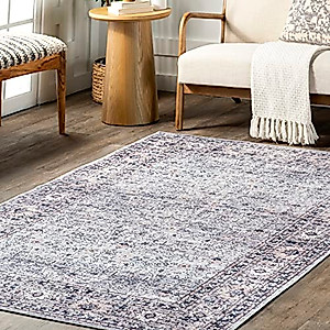 nuLOOM Indy Vintage Stain-Resistant Machine Washable Area Rug, 8' x 10', Grey