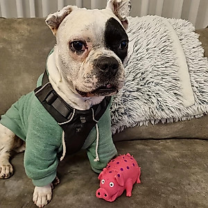 JIDOWAHOSD Dog Squeaky Toy, Dots Latex Dog Chew Toys with a Oinks Sound Squeaker Grunting Pig Dog Toy Durable Self Play 8" Dog Squeeze Toy for Dental Biting Chasing to Kill Boring Time