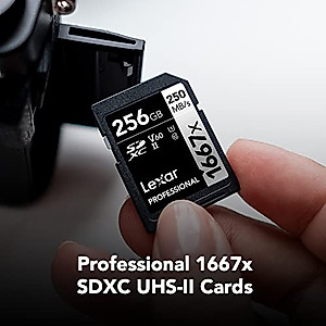 Lexar Professional 1667x 64GB SDXC UHS-II Memory Card, C10, U3, V60, Full-HD & 4K Video, Up To 250MB/s Read, for Professional Photographer, Videographer, Enthusiast (LSD64GCBNA1667)