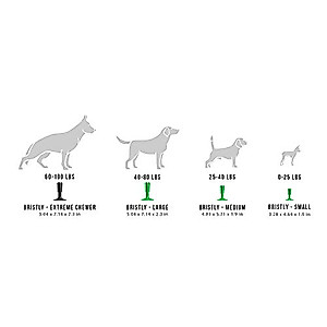 Bristly Dog Toothbrush SM