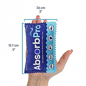 Absorb Pro - 100g (1-pack) Rechargeable Desiccant Pouch - Moisture Absorbing Bag - Dehumidifier for Bins, Totes, Safes, Cars, and Boats - Made from Silica Gel