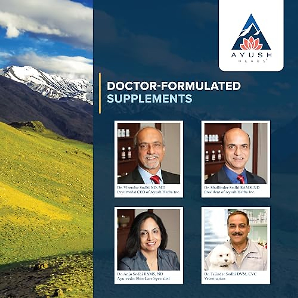 Ayush Herbs Probiotic 100B, Shelf-Stable Daily Probiotic Supplement, 7 Probiotic Strains, 60 Vegetarian Capsules