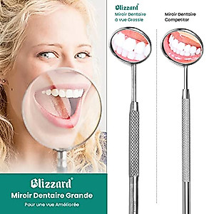 Dental Tools by Blizzard - Plaque Tartar Remover for Teeth - Professional Dental Hygiene Cleaning Kit 4-Pcs, German Stainless Steel Oral Care Set with Dental Pick, Mouth Mirror, Travel Case