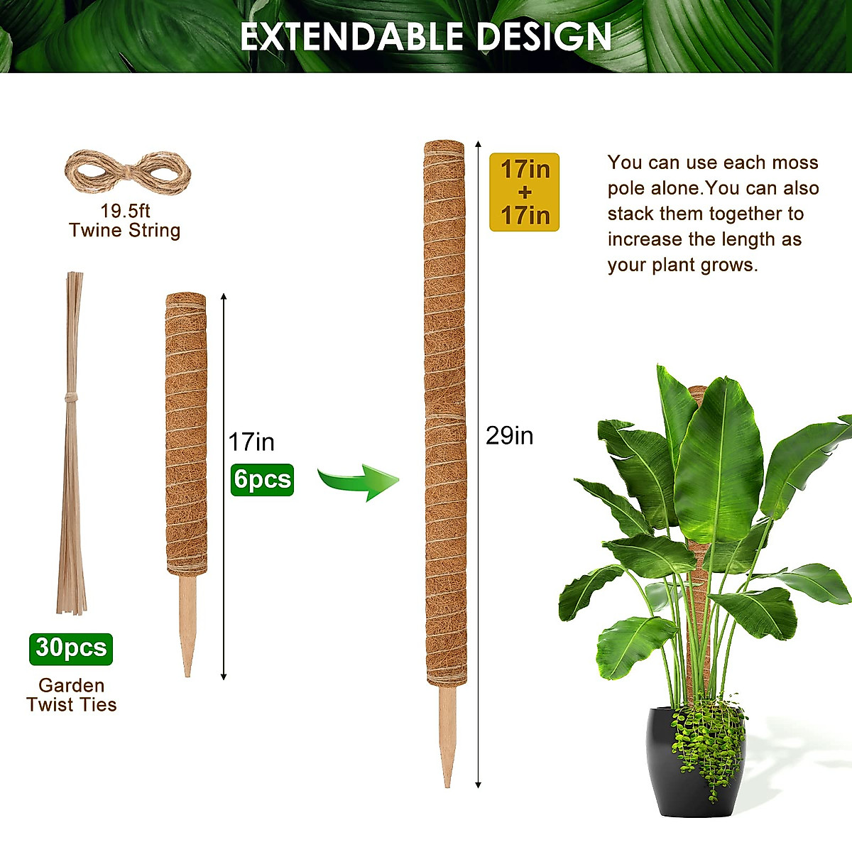 HongWay 77 Inch Moss Pole for Plant Monstera, 6 Pack 17 Inch Moss Plant Support, Monstera Support, Plant Climbing Pole, Moss Plant Stake
