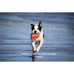 AccuteInsite Durable Rubber Football Squeaky Toys for Aggressive Chewers Toughest, Dog Squeaking Interactive Toys Tough Dog Chew Toys Ball for Medium and Large Breed, Natural Rubber Pet Toys