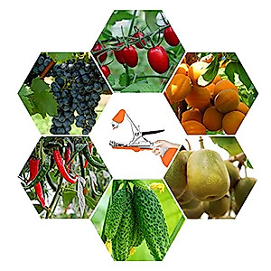 DrRobor Plant Tying Machine Tomato Tape Tool Fruit Twine Tool with 21 Rolls of Tape and 1 Box of Staple for Garden Vegetable Grape Cucumber Pepper