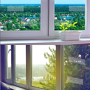 Mosqueda Window Fly Traps, 30 Pack Sticky Fly Traps for Indoors, Fly Catchers for Inside Home, Waterproof & Non-Toxic Adhesive Sticky Paper Trap for Mosquitos Bugs Housefy Fruit Fly Flying Gnats