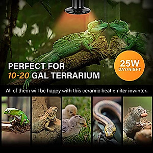 Simple Deluxe 25W Reptile Ceramic Heat Bulb No Light and 60W Dome Light Clamp lamp Fixture with 5.5 Inch Aluminum Reflector for Amphibian Pet Terrariums Habitat, Snake/Lizard/Spider, Black