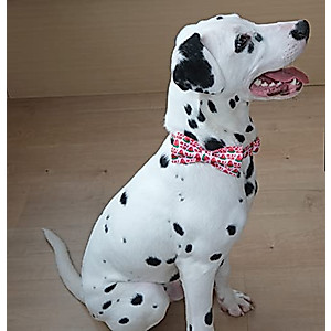 ARING PET Summer Dog Collar-Pink Watermelon Dog Collar with Bow, Adjustable Cotton Bowtie Dog Collar with Metal Buckle for Small Medium Large Girl and Boy Dogs