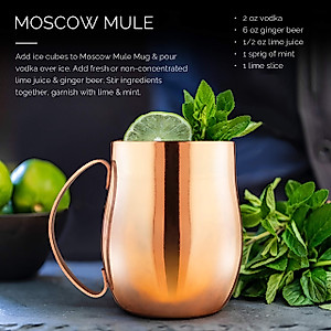 Final Touch Double-Wall Moscow Mule Mug (MM501)