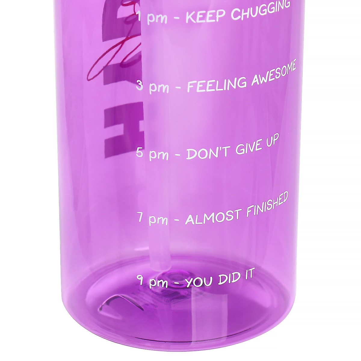 Gibson Home Brever 50oz Hydrate Yourself Hourly Motivation Water Bottle in Purple
