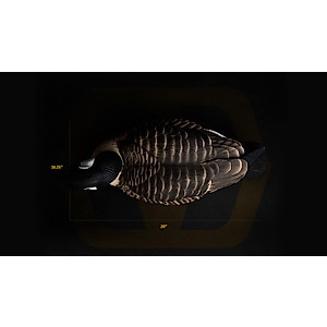 Ultralight 100% HydroFoam Canada Goose 4 Pack - Light as a Feather - Lasts Forever