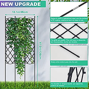 Garden Trellis for Climbing Plants Outdoor, deaunbr Tomato Cage Plant Support Garden Obelisk Trellises Cages for Vines, Flowers, Indoor Potted Plants, Rose, Clematis, Cucumber Pea, Bean, Grape