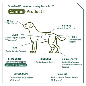 Standard Process - Canine Thyroid Support - Endocrine System Support for Dogs - 100 Grams