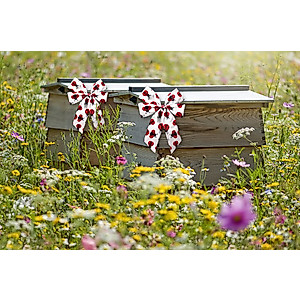 Hying 2 Rolls Spring Ladybug Ribbons Wired for Wreath Bows Wrapping Gifts, Red Polka Dot Ribbon for Gift Wrapping Birthday Party Decoration DIY Crafts, 2.5" X 10 Yards Red Lady Bug Wired Edge Ribbon