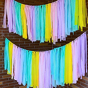Melody Fantasy Ice Cream Party 200pcs Plastic Strips Streamer Backdrop Pastel Streamer Fringe Curtain Rainbow Backdrop Streamers for Girls Birthday Candyland Party Background Pastel Party Decorations