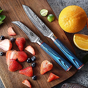 Knife Block Set 9 Pcs Japanese Aus-10 Damascus Steel Chef Knives Set High Carbon Core Stainless Steel Full Tang Chef Knife Set Blue G10 Home Kitchen Professional Knife Block Sets (Blue Round Handel)