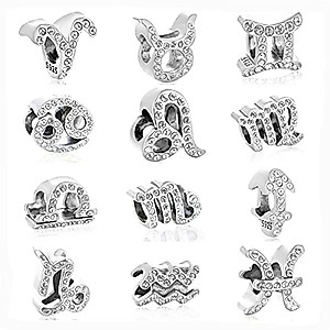 12 Zodiac Signs Birthday Constellations 925 Sterling Silver Charm Bead fits Pandora Bracelets & Necklaces & More (Pisces)