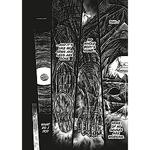 Berserk Deluxe Volume 13 (Berserk, 13)