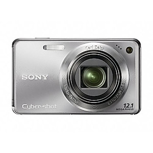 Sony Cyber-shot DSC-W290 12.1 MP Digital Camera with 5x Optical Zoom and Super Steady Shot Image Stabilization (Silver)