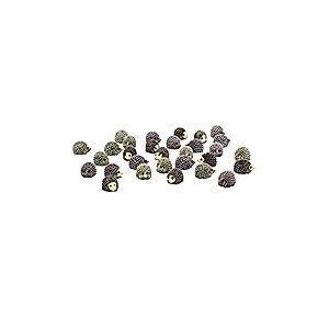 X Hot Popcorn 30 Pcs Mini Hedgehog Figurines, Miniature Moss Landscape DIY Garden Decor
